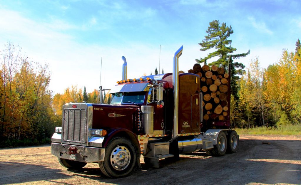 Northern Victoria Logging Road in Australia gets major upgrade ...