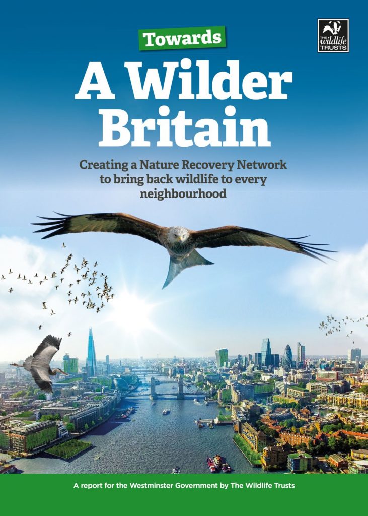 New proposals for a wilder Britain - A critical moment to reverse the ...
